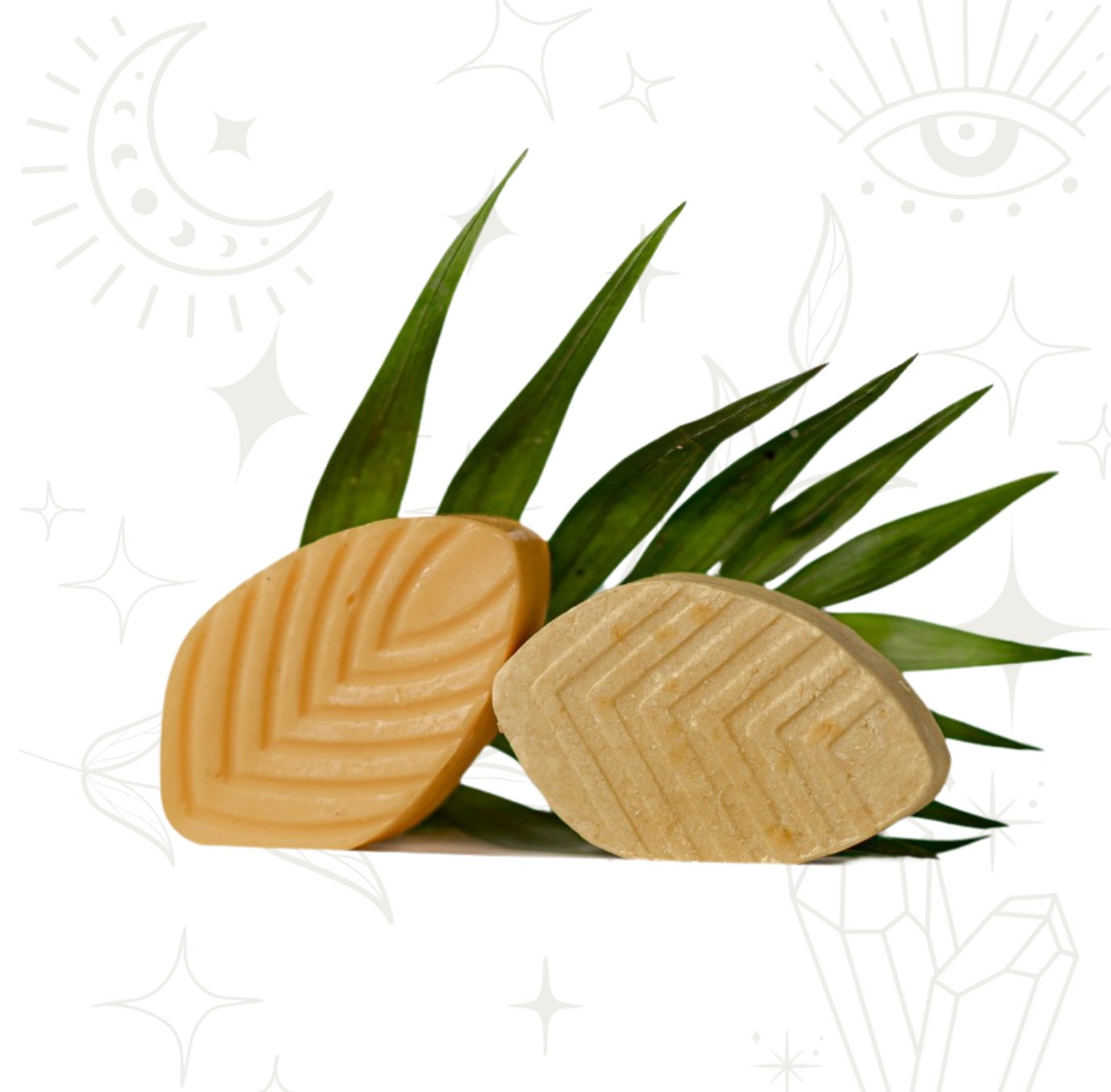 Compra Hair Food – Page 2 – Frecuencia Natural